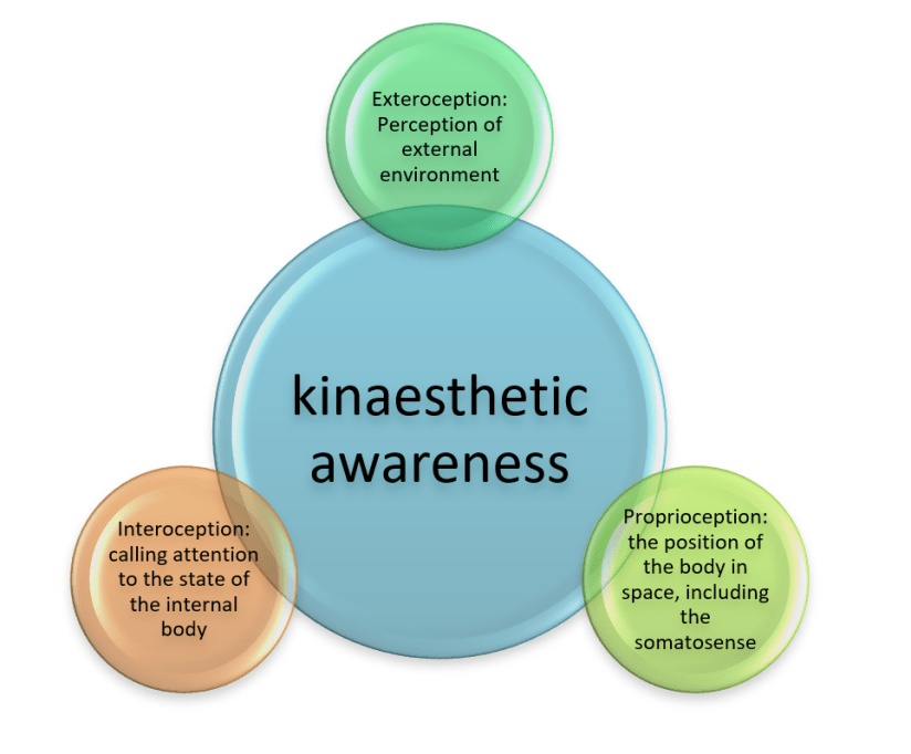 Digital touch, kinaesthetic awareness and the creative potential of the ...