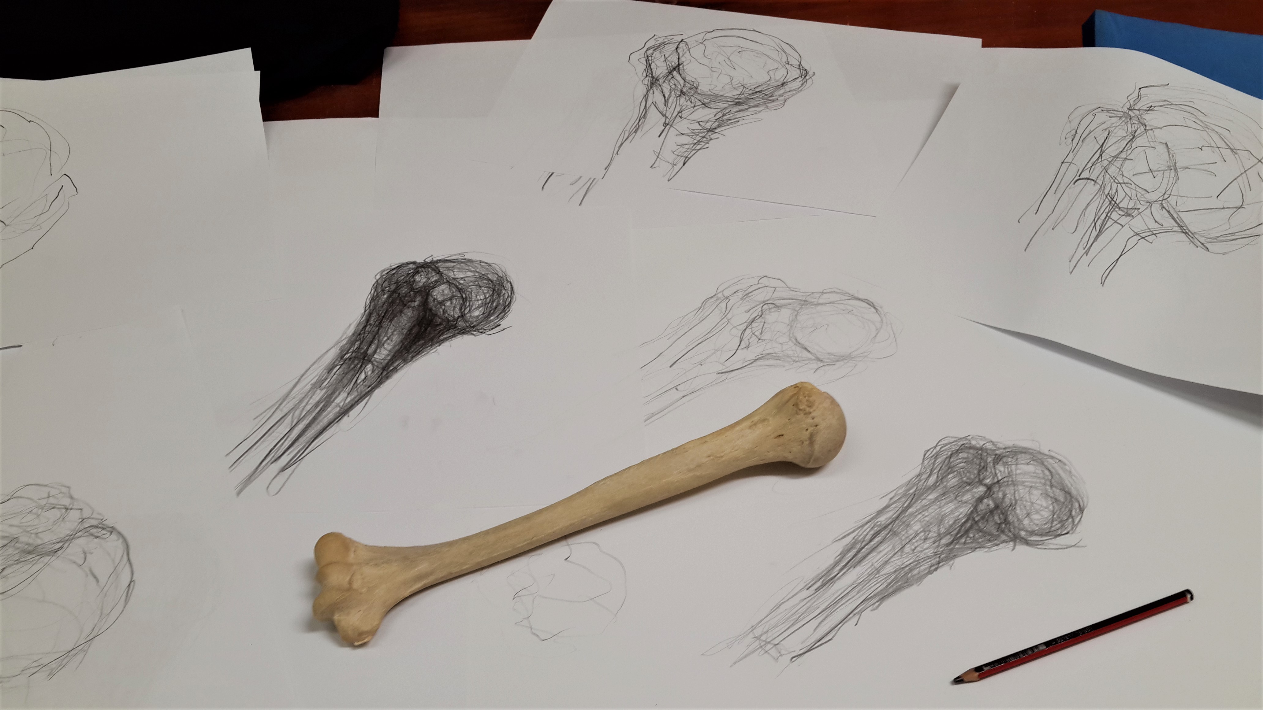 What the eye can’t see: closer observation with touch and drawing in ...